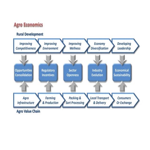 Agro Economics | PPTX