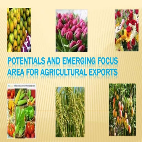 Agro exports potential | PPTX