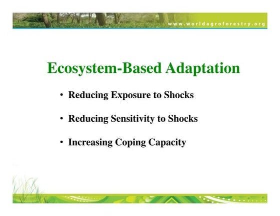 Tropical Rainforest | PPT