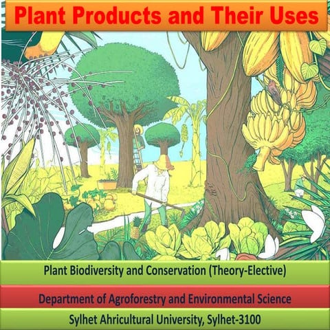 Economic Importance of Plants | PPTX