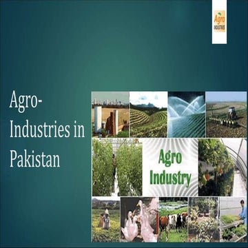 Agro Industries in Pakistan.ppt