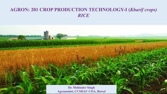 Strucuture of cereal grains and legumes | PPT