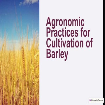 Agronomic-Practices-for-Cultivation-of-Barley.pptx