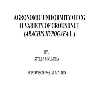 AGRONOMIC UNIFORMITY OF CG 11 VARIETY OF GROUNDNUT-STELLA MKUMPHA-3.pptx