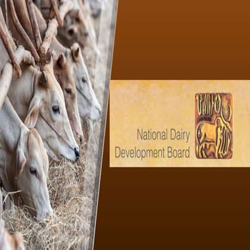 National Dairy Development Board-India.pptx