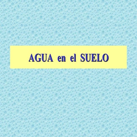 apoplasto y simplasto Absorcion del agua por las plantas | PDF