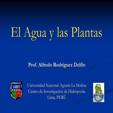 apoplasto y simplasto Absorcion del agua por las plantas | PDF