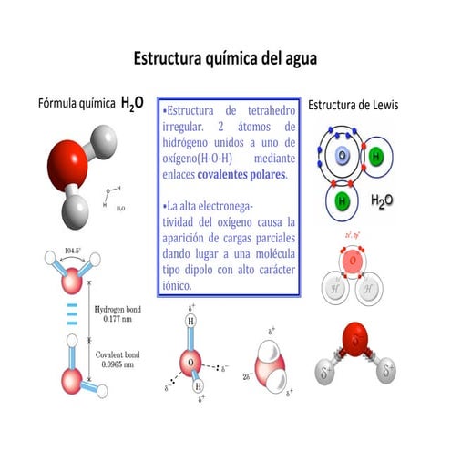 composición del agua | PDF