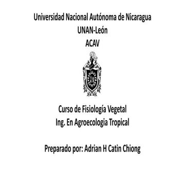 apoplasto y simplasto Absorcion del agua por las plantas | PDF