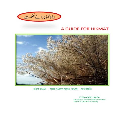 A guide for Hikmat | DOCX