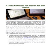 A Guide on Different Tree Reports and Their Purpose