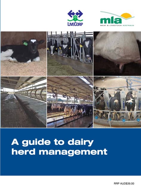 Dairy farm presentation | PPT
