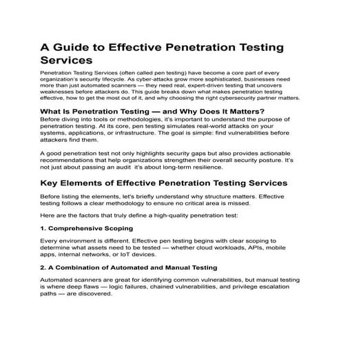 7 Essential Types of Penetration Testing Services Every Business Should ...