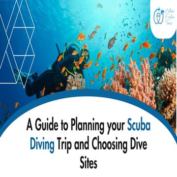 A Guide to Planning your Scuba Diving Trip and Choosing Dive Sites | PPT