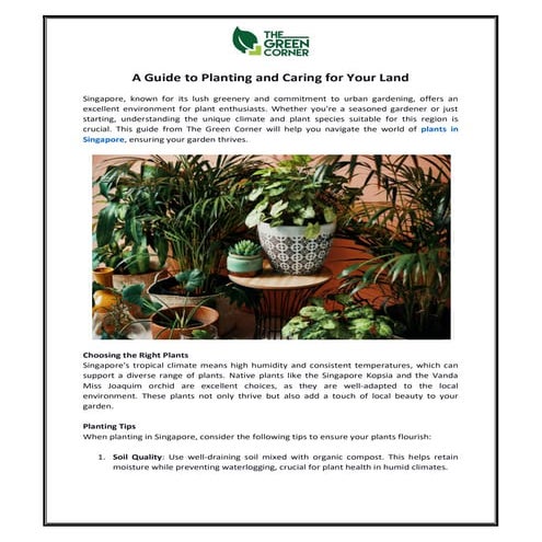 A Guide to Planting and Caring for Your Land | PDF