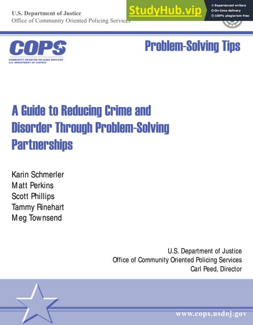 An Examination Of Police Officers Insights Into Problem Identification ...
