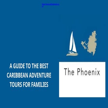 A GUIDE TO THE BEST CARIBBEAN ADVENTURE TOURS FOR FAMILIES | PPT