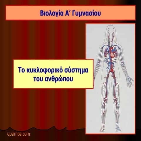 μικρή και μεγάλη κυκλοφορία | PPT