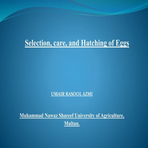 Selection, Care and hatching of chicken eggs | PPTX