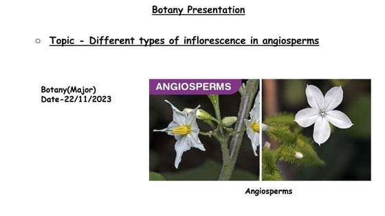 Inflorescences & Its Types | PPT