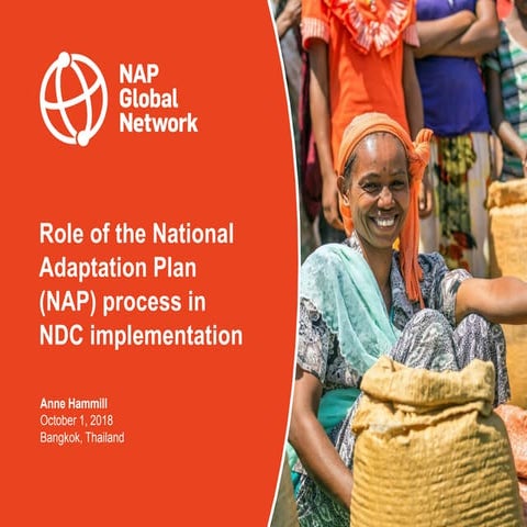 Role of the National Adaptation Plan (NAP) process in NDC ...