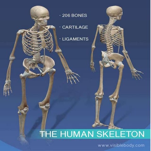 aharapaka.pptx💞💞💞💞💞💞💞yyyyyyyyyyyy | PPTX