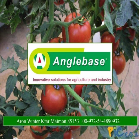 Aharon Vinter - Anglebase Technology | PDF | Agriculture | Industries