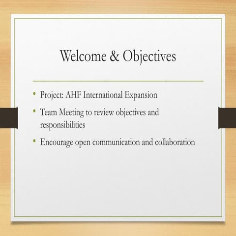 AHF_Team_Meeting_Presentation_Task2.pptx