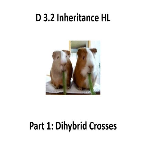 IB Biology AHL Inheritance Part 1- dihybrid crosses.pptx