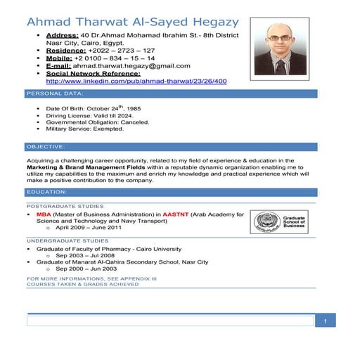Tamer CV | PDF