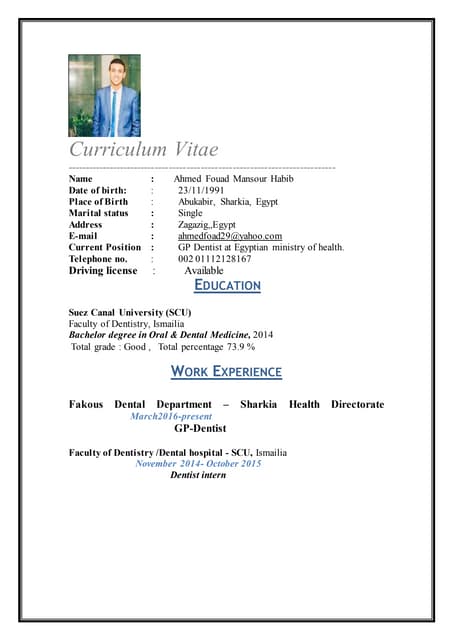 dina cv no pic | PDF