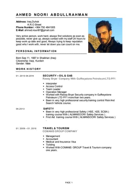 hani kurdi c.v | PDF