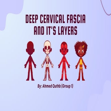 Deep Cervical Fascia - Anatomy by Ahmed Quthb | PDF