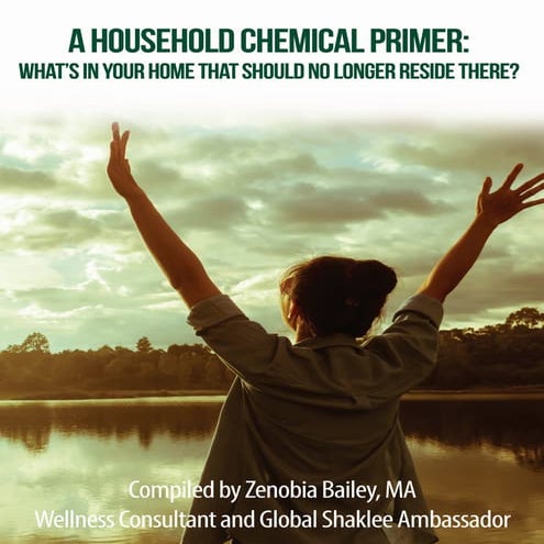A household chemical primer | PDF
