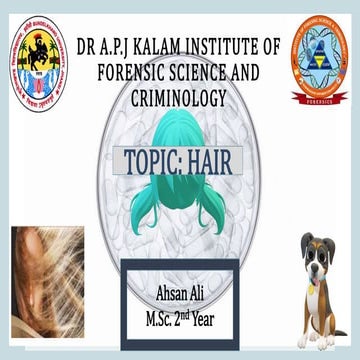 Hair as a forensic evidence | PPT