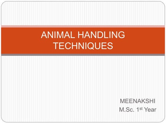 Handling of laboratory animal | PPT