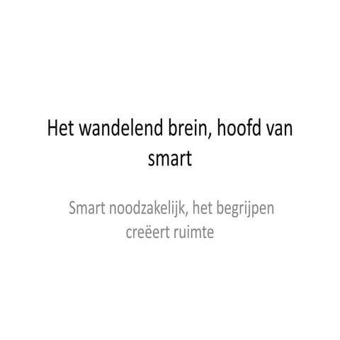 Ahtm kuijs presenta 1 | PPSX