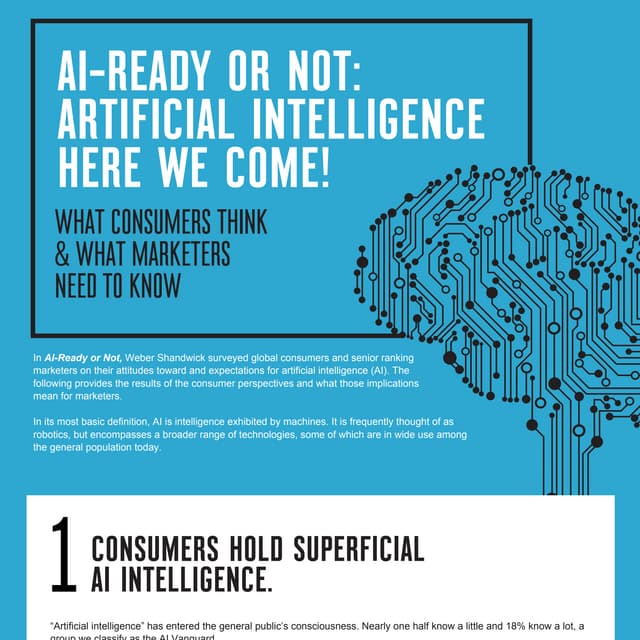 AI Infographic | PDF