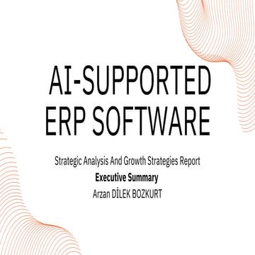 AI-SUPPORTED ERP SOFTWARE-EXECUTIVE SUMMARY .pdf