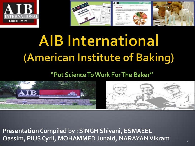 Aib presentation