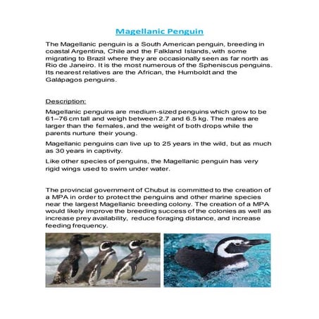 Save the Penguins-FOS | PDF