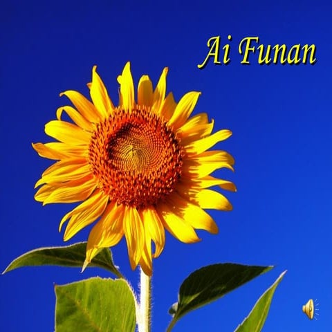 Ai Funan | PPT