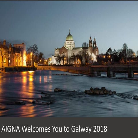 AIGNA 10th Birthday Celebrations - A Reflection of 10 years | PDF