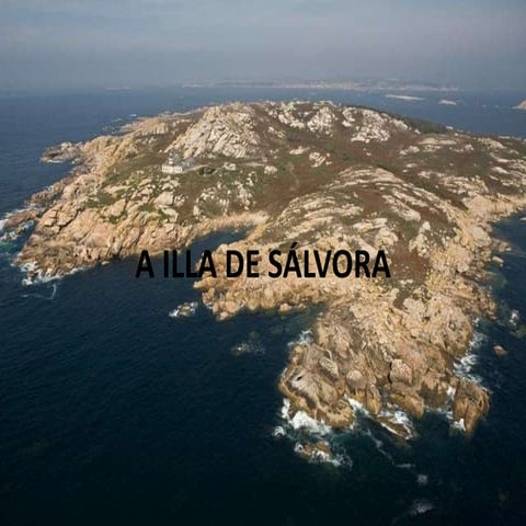 A illa de sálvora | PPT