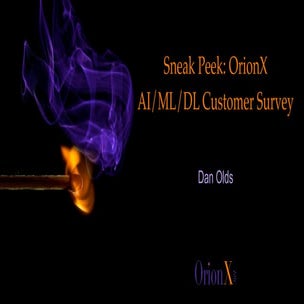 OrionX AI & Machine Learning Customer Survey | PDF