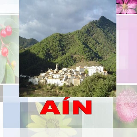 Ain