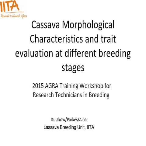 Cassava Morphological Characteristics and trait evaluation at different ...
