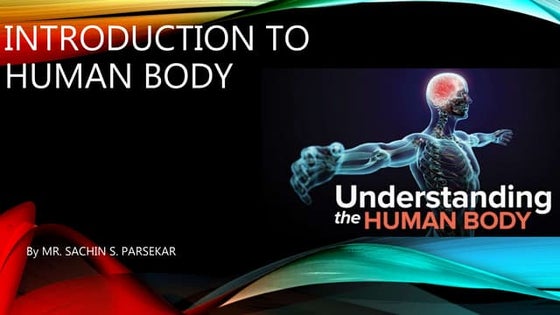 Introduction to human body Explain the gross morphology, structure and ...