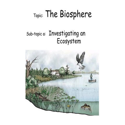 (A) Investigating An Ecosystem | PPT