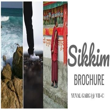 Sikkim Project File (presentation) | PPTX